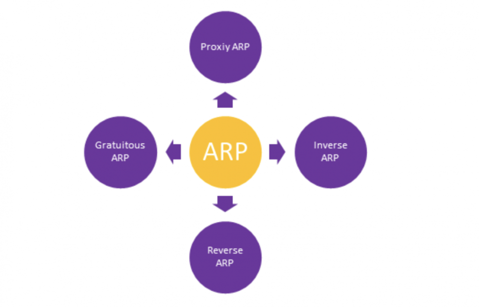 ARP là gì? Tổng quan giao thức ARP từ A đến Z cho người mới