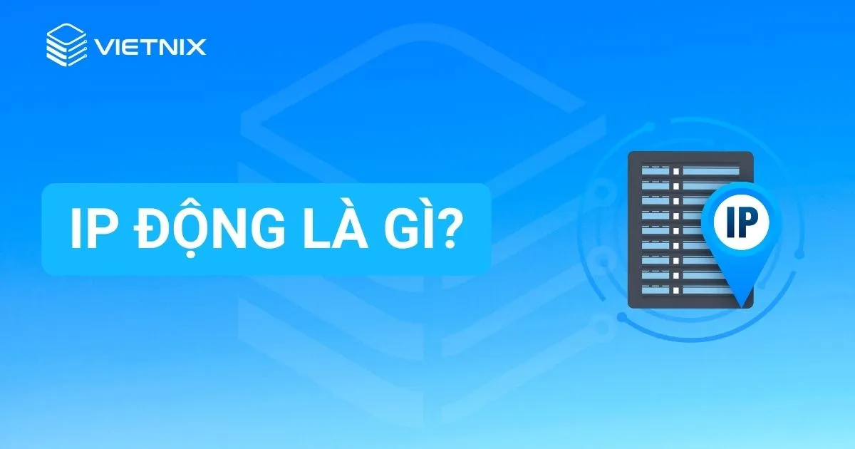 IP động là gì? Những ưu điểm của IP động chi tiết nhất 2025