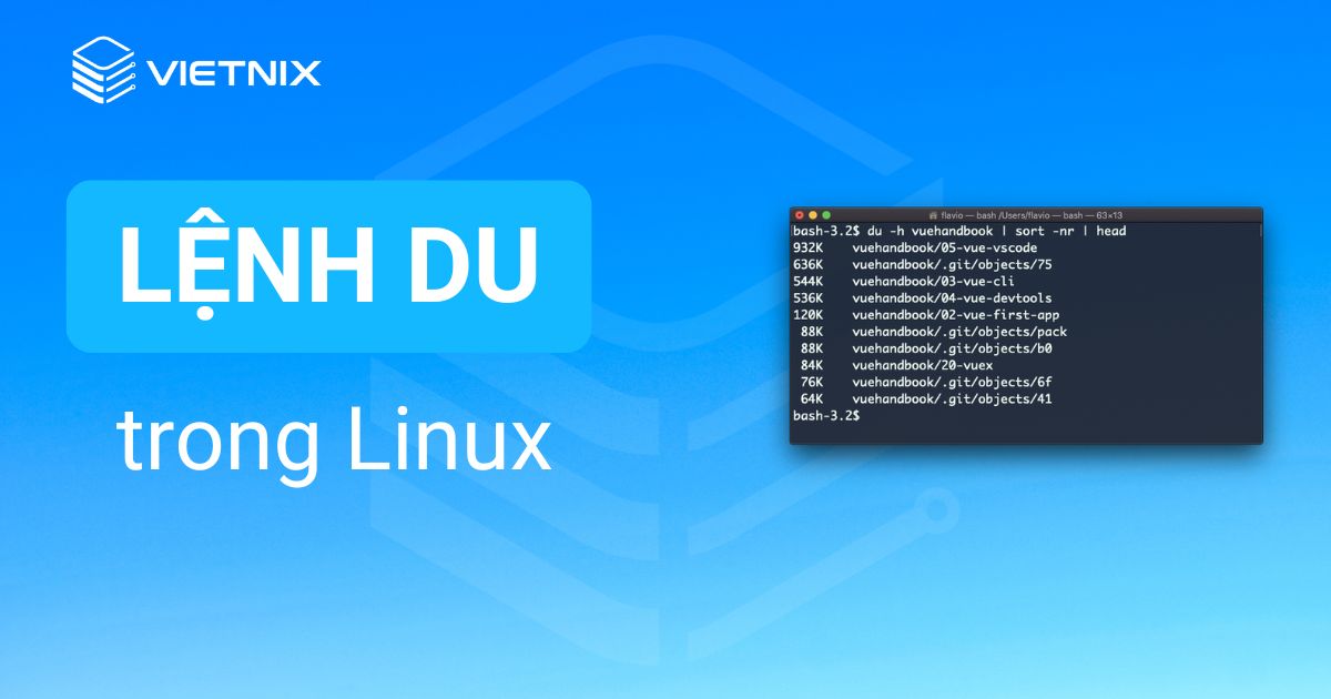 Cách kiểm tra và hiển thị dung lượng với lệnh du trong Linux