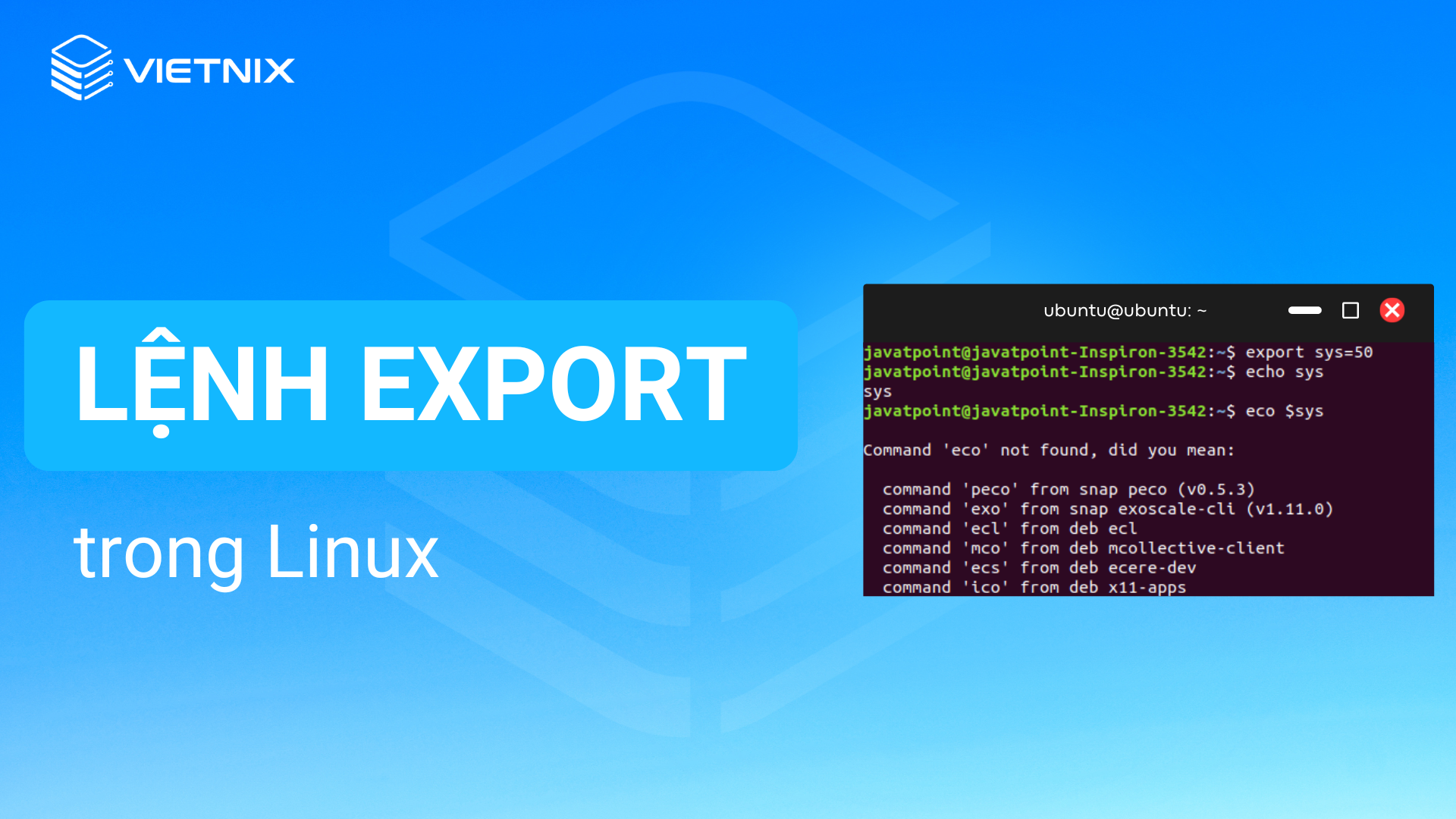 Hướng dẫn sử dụng biến môi trường và lệnh export trong Linux