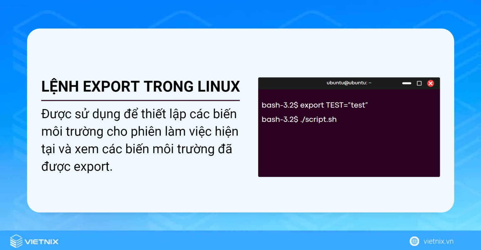 Hướng dẫn sử dụng biến môi trường và lệnh export trong Linux