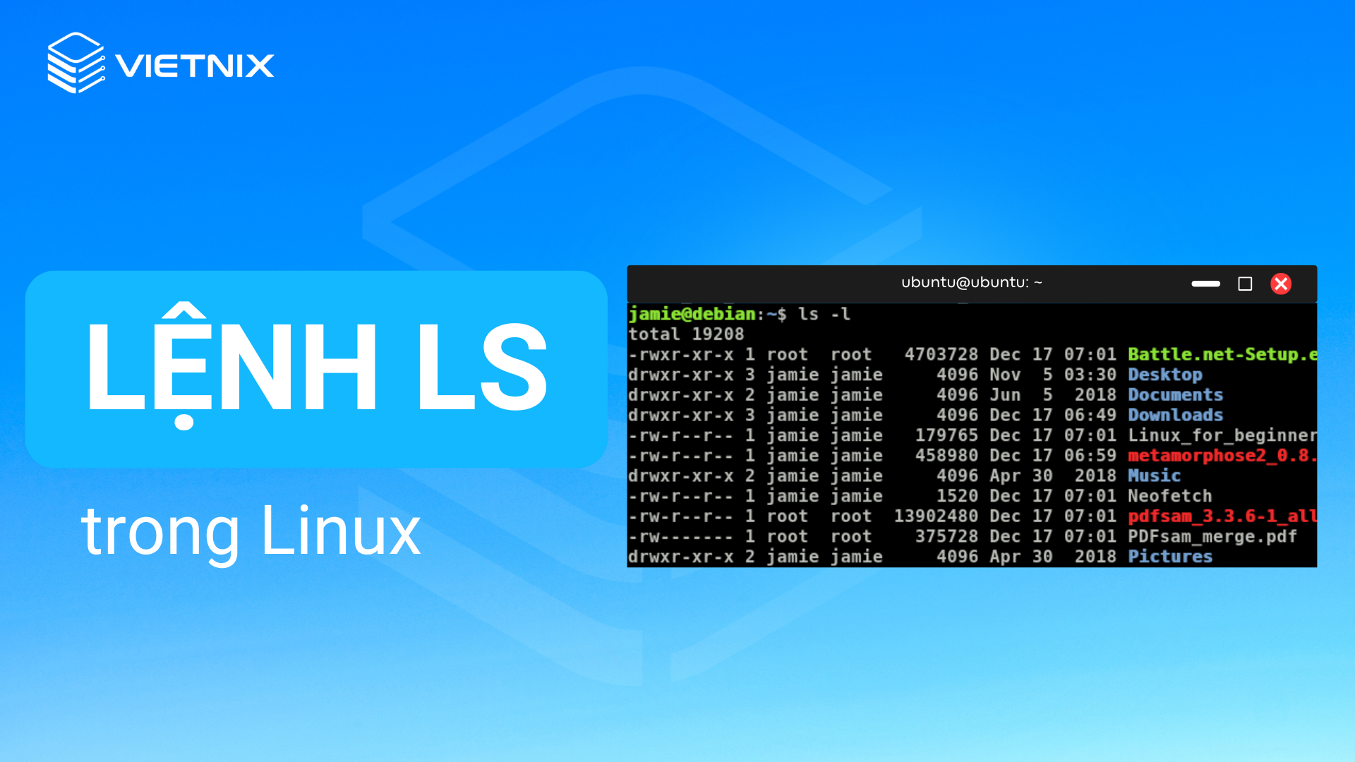 Hướng dẫn sử dụng và 7 ví dụ cụ thể về lệnh ls trong Linux