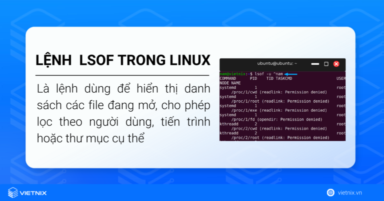 Hướng dẫn theo dõi file đang mở bằng lệnh lsof trong Linux