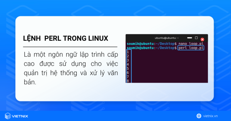 Cách sử dụng lệnh perl trong Linux thông qua 4 ví dụ cụ thể