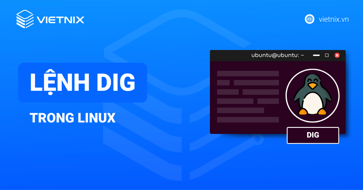 Hướng dẫn cách sử dụng lệnh dig trong Linux để truy vấn DNS