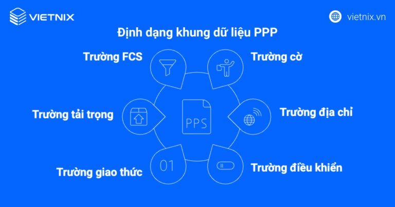 Giao thức Point to Point là gì? Thành phần và cách thiết lập